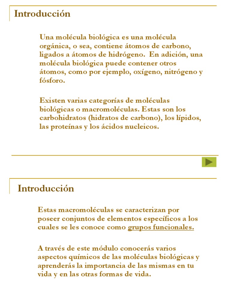 Introducción a las moléculas biológicas | PDF | Lípido | Ácidos nucleicos