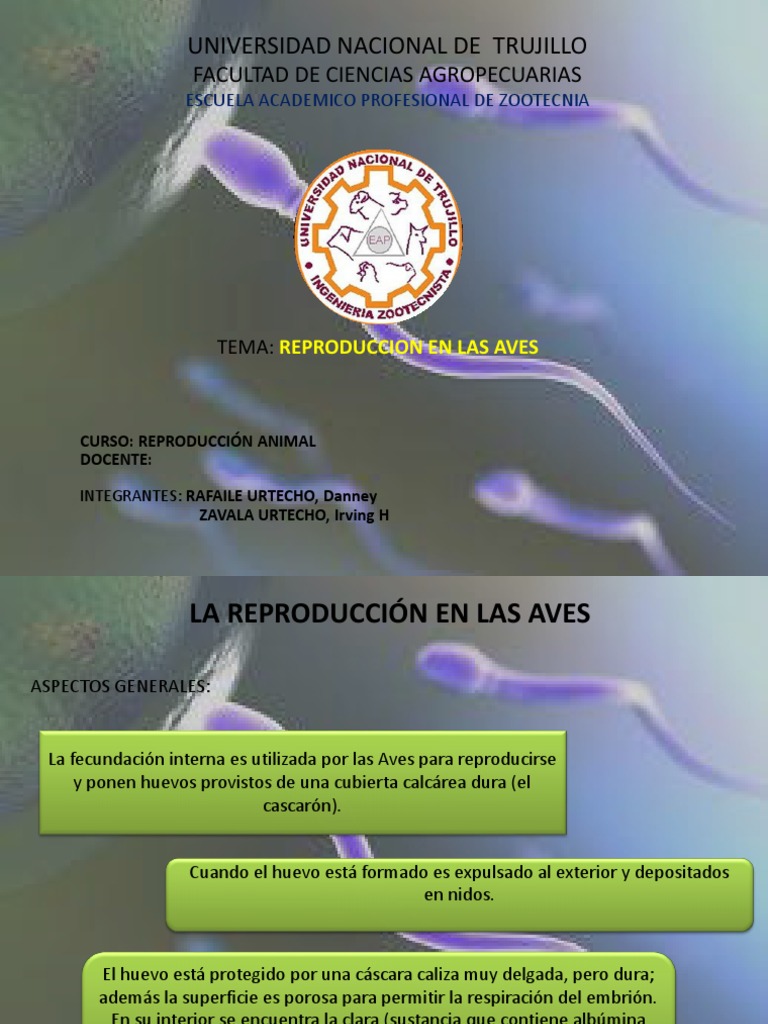 Reproduccion En Aves