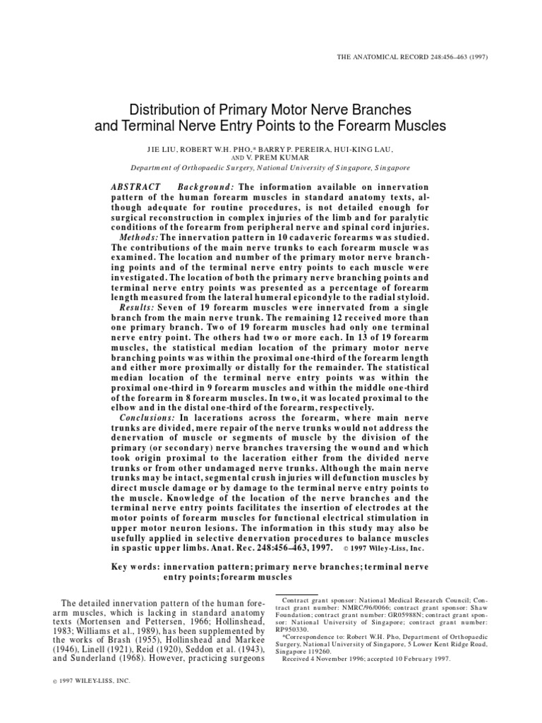 Motor Points | PDF | Limbs (Anatomy) | Human Anatomy