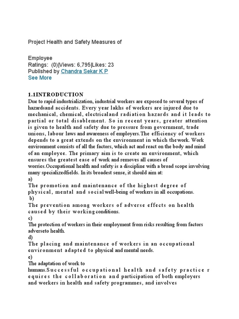 Project Health and Safety Measures of Employee | PDF | Occupational ...