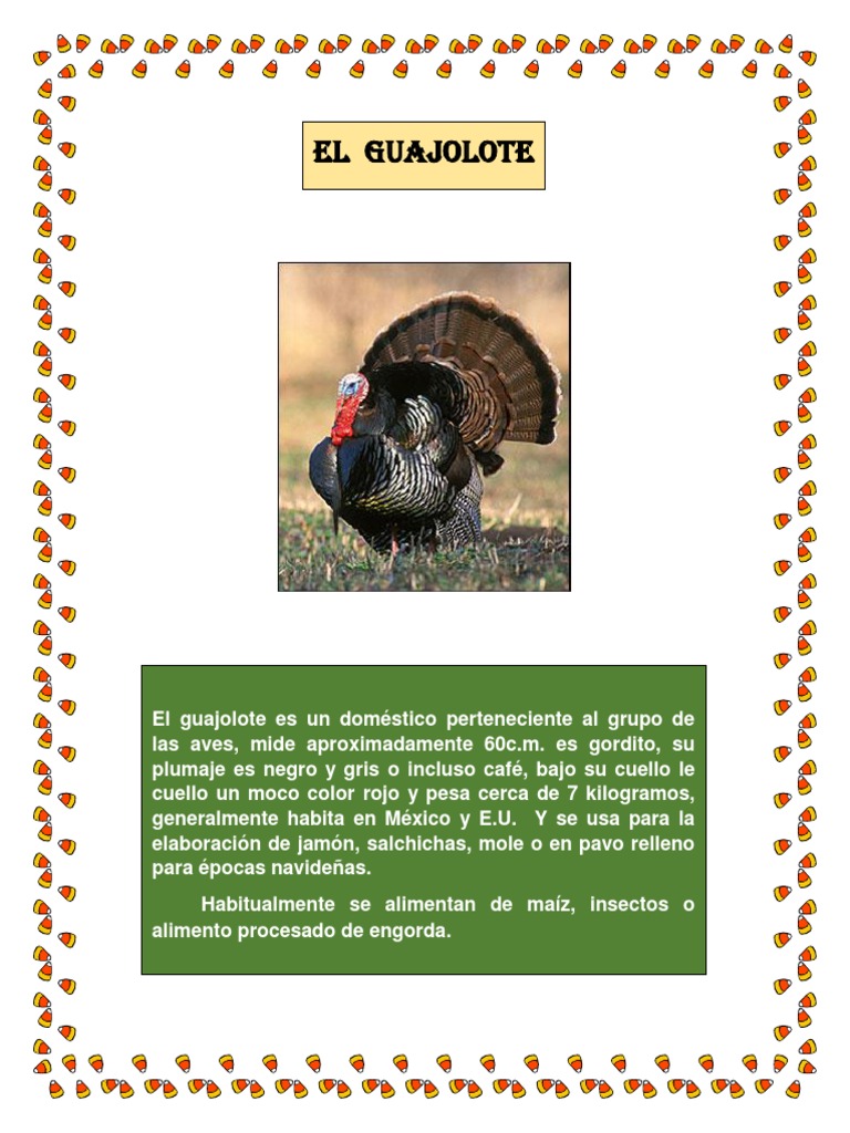 El Guajolote | PDF