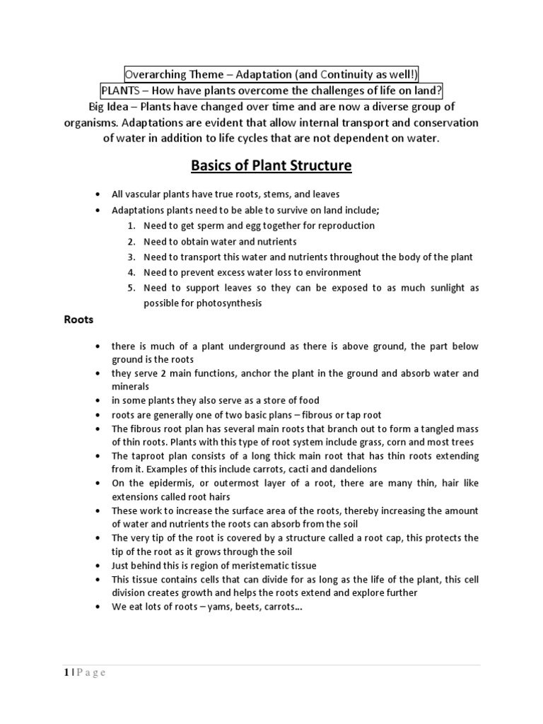 Plants Adaptations Notes | PDF | Root | Moss