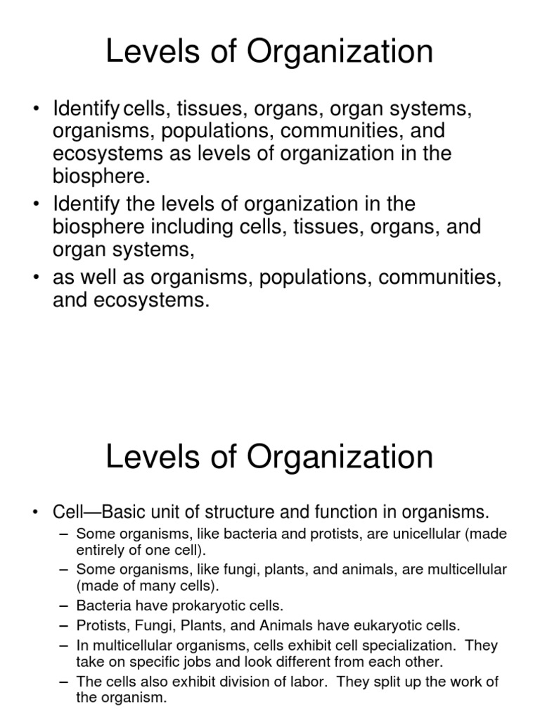 Levels of Biological Organization Explained | PDF | Tissue (Biology ...