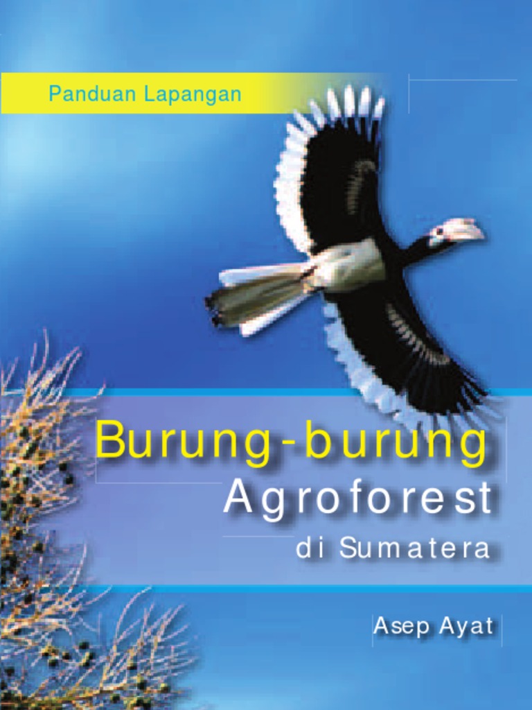 Burung Di Sumatera | PDF | Teknologi & Rekayasa