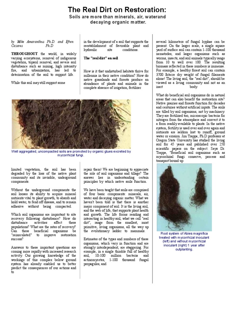 The Real Dirt On Restoration | PDF | Soil | Landscape Architecture