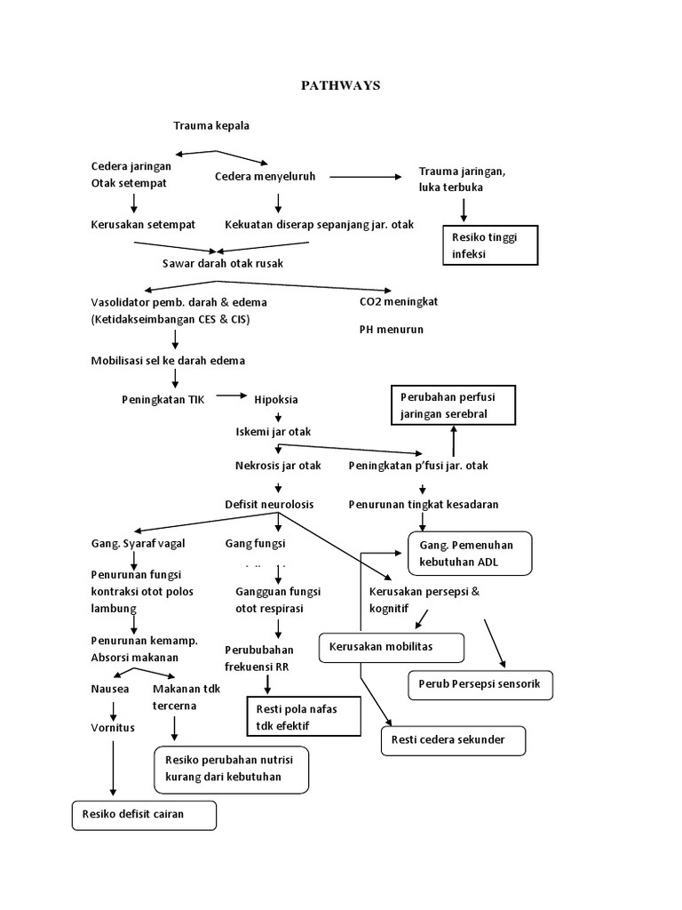 Pathways Cedera Kepala | PDF | Pengembangan Diri