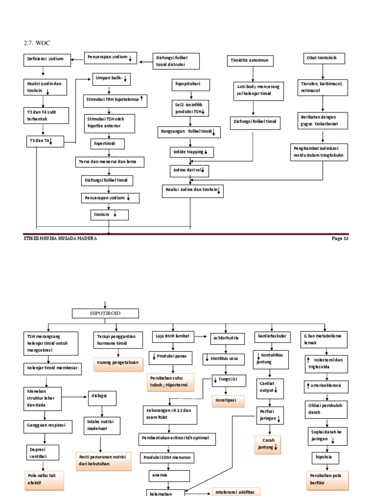 Woc Hipotiroidisme | PDF | Kesehatan Holistik | Sains & Matematika