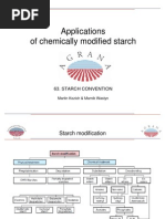 4 - Enzymes in Starch Modification | PDF | Starch | Hydrolysis