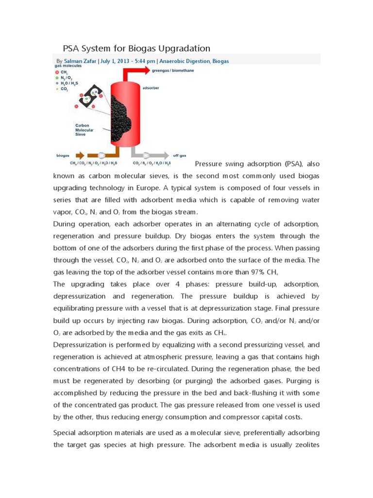 Biogas PSA Upgradation Process | PDF