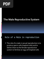 Biology Investigatory Project | PDF | Prenatal Development ...