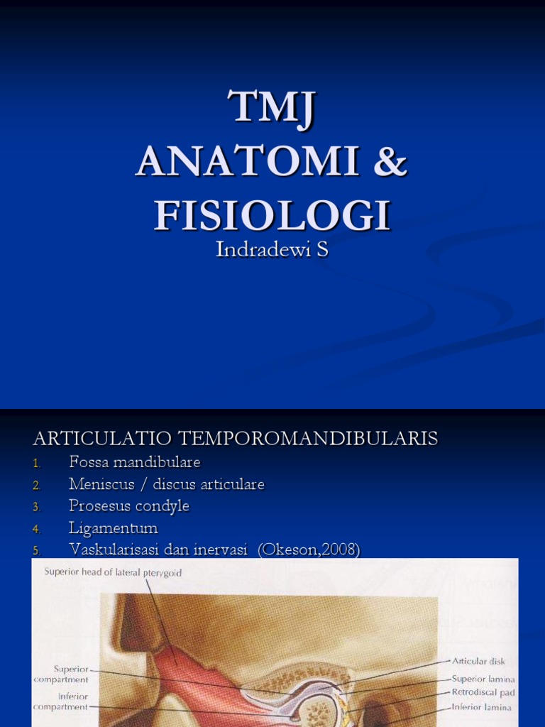 Anatomi TMJ | PDF