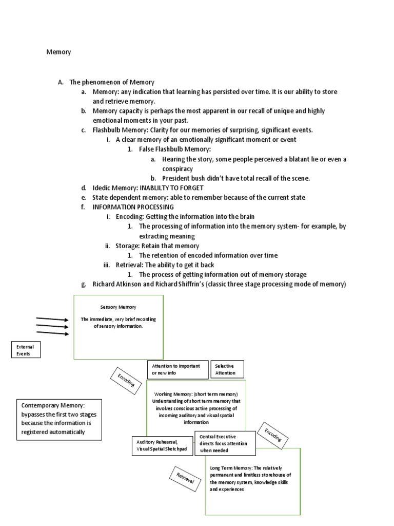 Memory Outline | Download Free PDF | Memory | Recall (Memory)