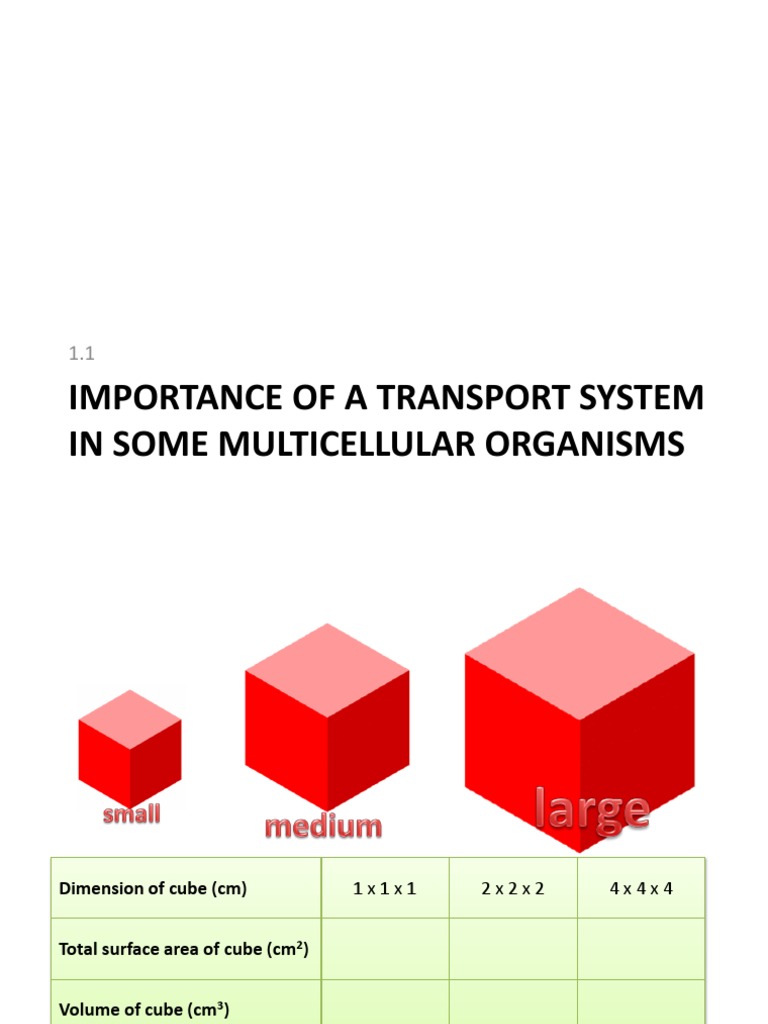 Importance of A Transport System in Some Multicellular Organisms | PDF ...