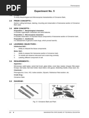 Cinnamon Bark Microscope