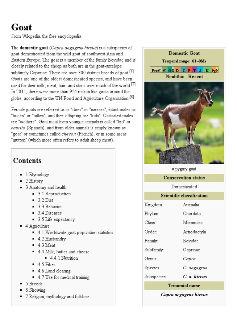Goat - Wikipedia, The Free Encyclopedia | PDF | Goat | Sheep