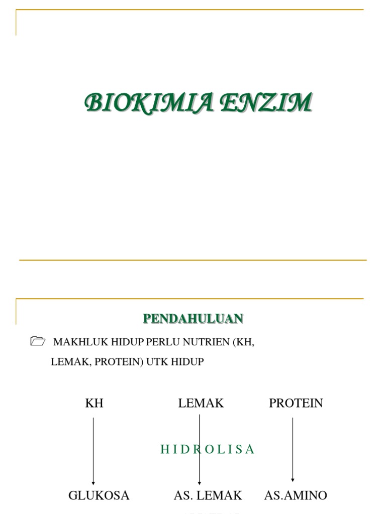 Biokimia Enzim | PDF