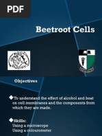 Why Beetroot is Red: Betalains Explained | PDF | Cell Membrane | Biophysics