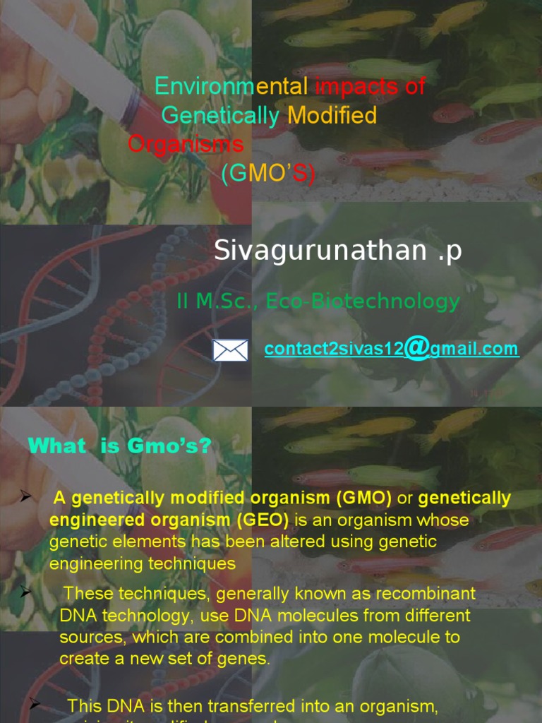 Environmental impact of Release of Gmos | Genetically Modified Organism ...