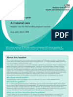 Bronchoscopy Clinical Report Template | PDF