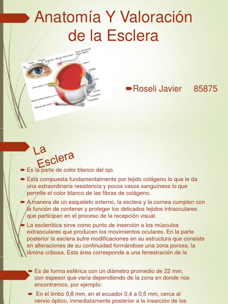 Anatomía Y Valoración de la Esclera
