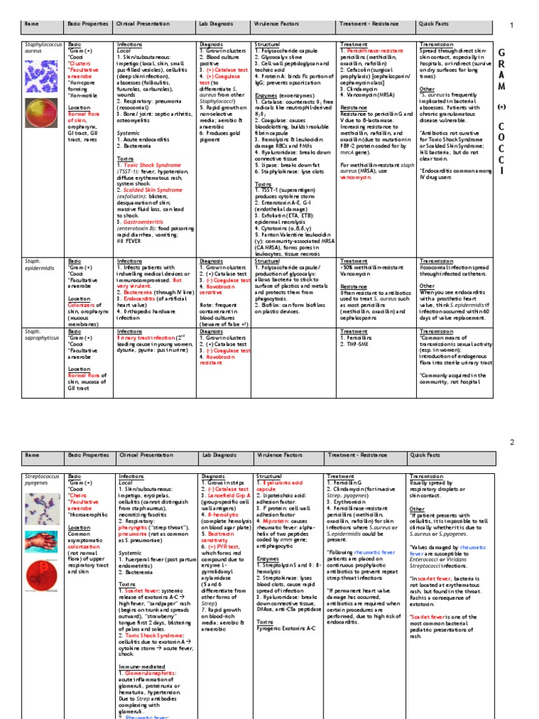 LP Bacteria Chart | PDF | Staphylococcus Aureus | Streptococcus