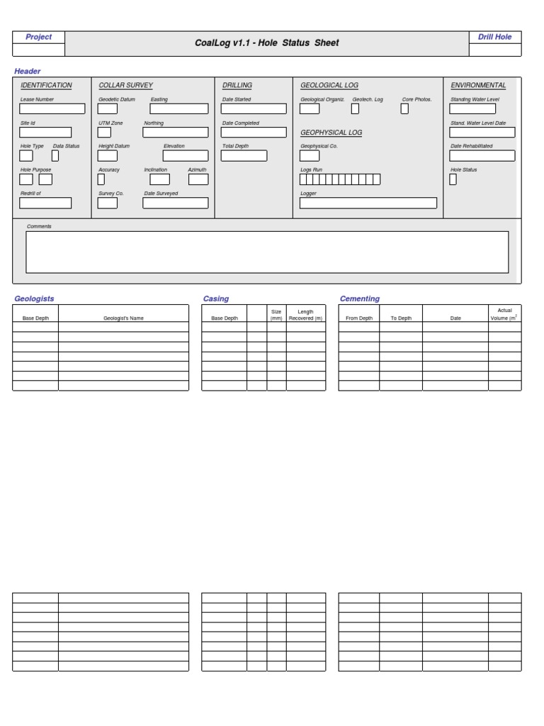 Coallog Recommended Logging Sheets Data Entry Template v1.1 | PDF