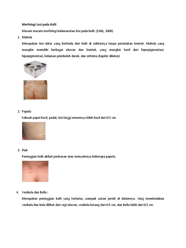 Morfologi Lesi Pada Kulit | PDF