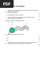 Macromolecules Worksheet Answer Key | PDF | Carbohydrates | Polysaccharide