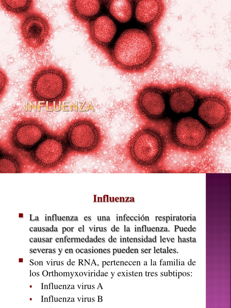 Influenza | Virus de la Influenza A Subtipo H1 N1 | Influenza