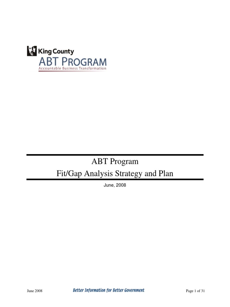 Appendix C Fit Gap Analysis Strategy Plan | PDF | Business Process ...