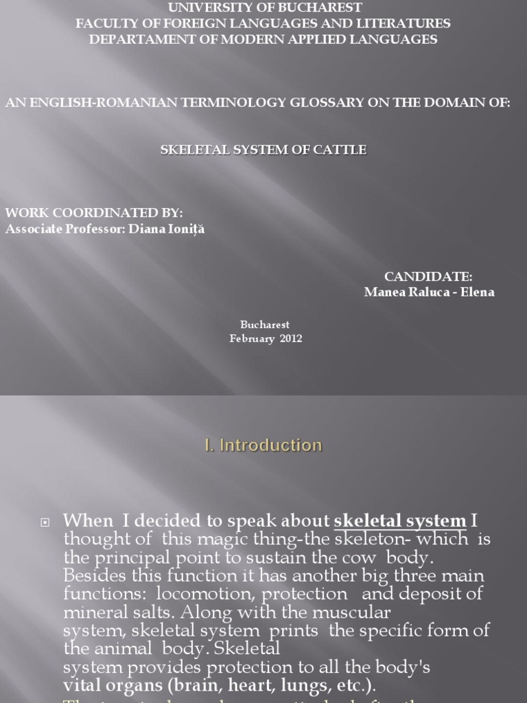Skeleton System of Cattle | PDF | Vertebra | Vertebral Column