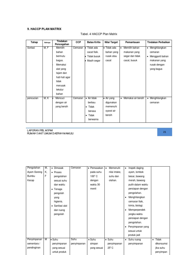 HACCP Plan Matrix | PDF