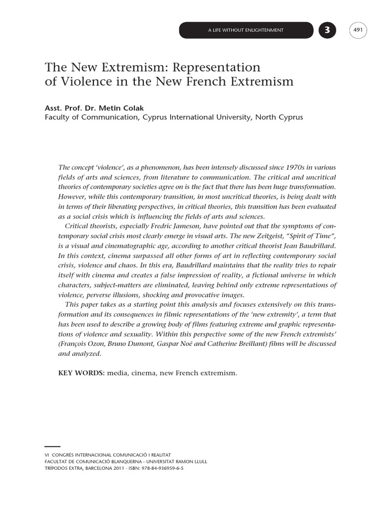 The New Extremism - Representation of Violence in The New French ...