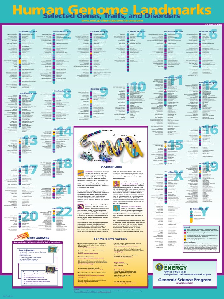 Genome Poster 2009 | PDF | Congenital Disorder | Immunodeficiency