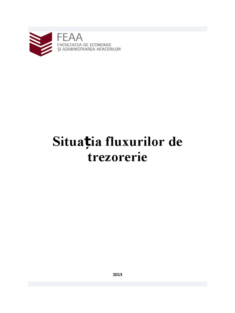 Situatia Fluxurilor de Trezorerie | PDF