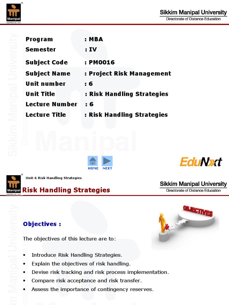 Risk Handling Strategies Overview | PDF | Risk Management | Risk