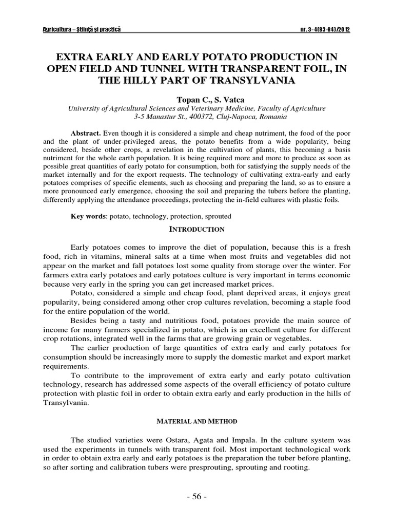 Potato Production | PDF | Potato | Vegetables