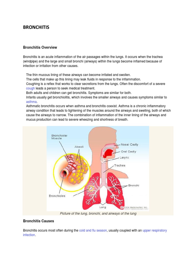 Bronchitis | PDF | Bronchitis | Respiratory Tract