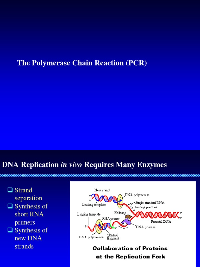 PCRT | PDF | Polymerase Chain Reaction | Primer (Molecular Biology)