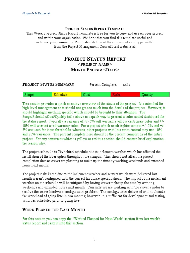PMP Project Status Report | PDF | Computing And Information Technology | Business