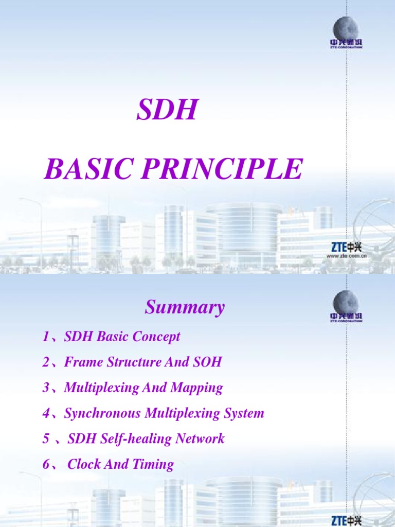 SDH Principle | PDF | Telecommunications | Data