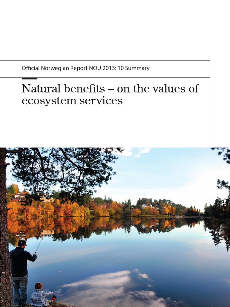 Natural Benefits - On The Values of Ecosystem Services | PDF ...