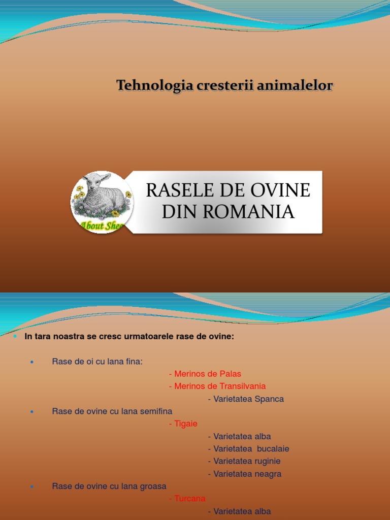 Presentation RASE OVINE 2003 | PDF