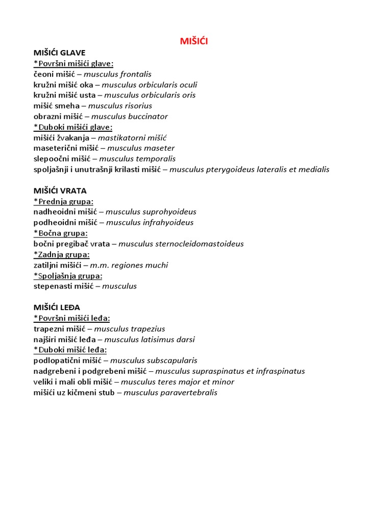 MISICI Anatomija | PDF