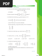 Ejercicios Resueltos de Matrices | PDF | Matriz (Matemáticas) | Objetos ...