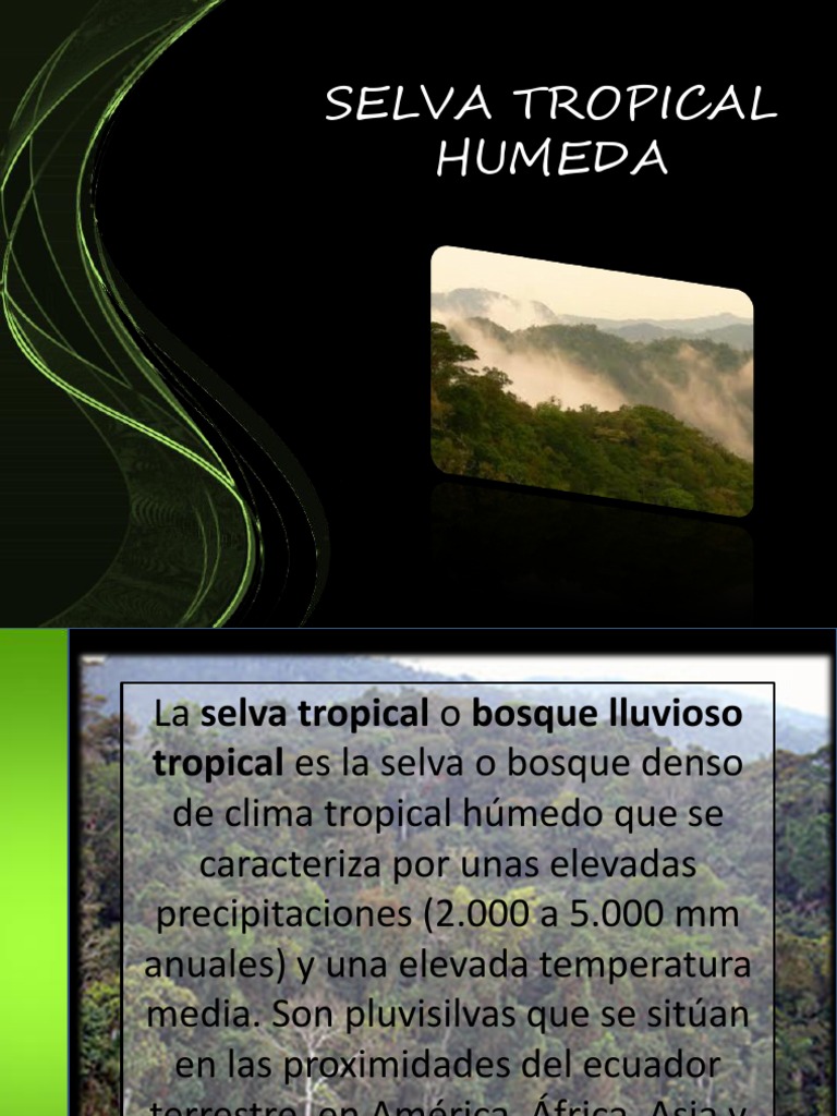 La Selva Tropical Humeda | PDF | Selva | Zona tropical