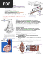 AUBF Lecture Module 8 Chapter 10: SEMINALYSIS: Semen Analysis | PDF ...