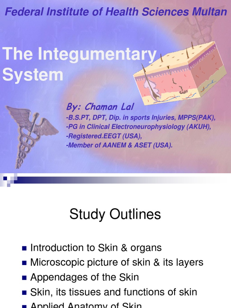 The Integumentary System: Federal Institute of Health Sciences Multan ...