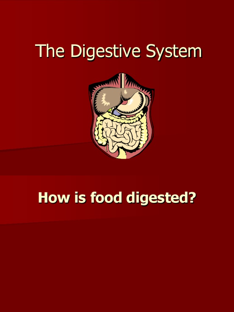 The Journey of Nutrients: An In-Depth Look at the Digestive System and ...