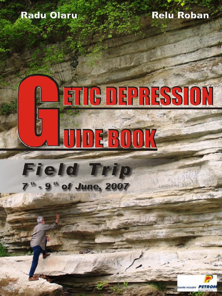 Getic Depression - Guide Boock | PDF | Clastic Rock | Sedimentary Rock